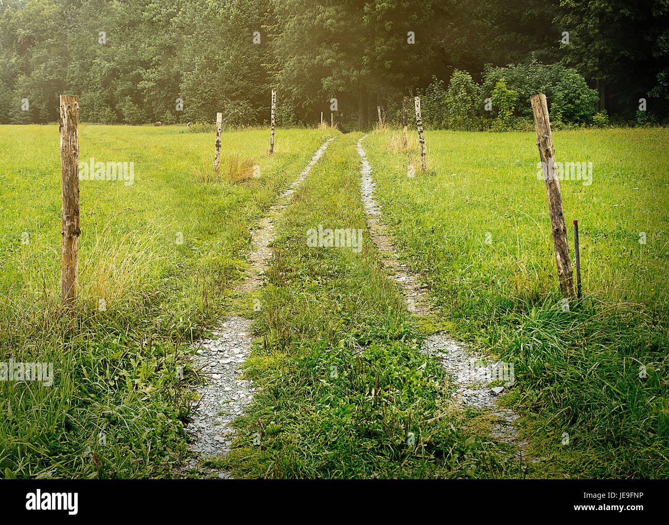 Worn path hi-res stock photography and images - Alamy