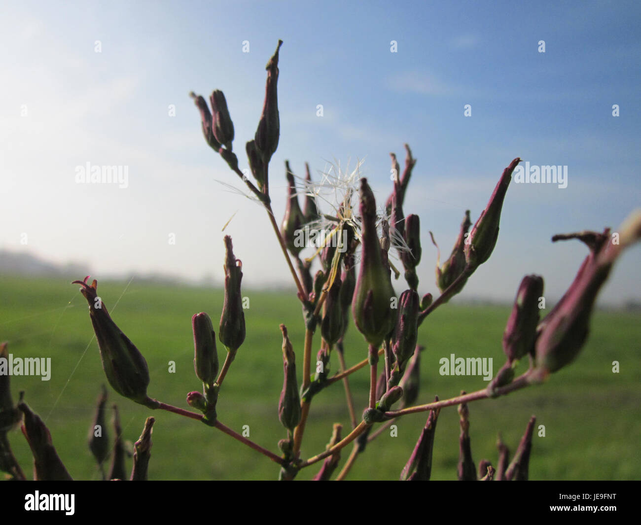 Setting up biological structure hi-res stock photography and images - Alamy