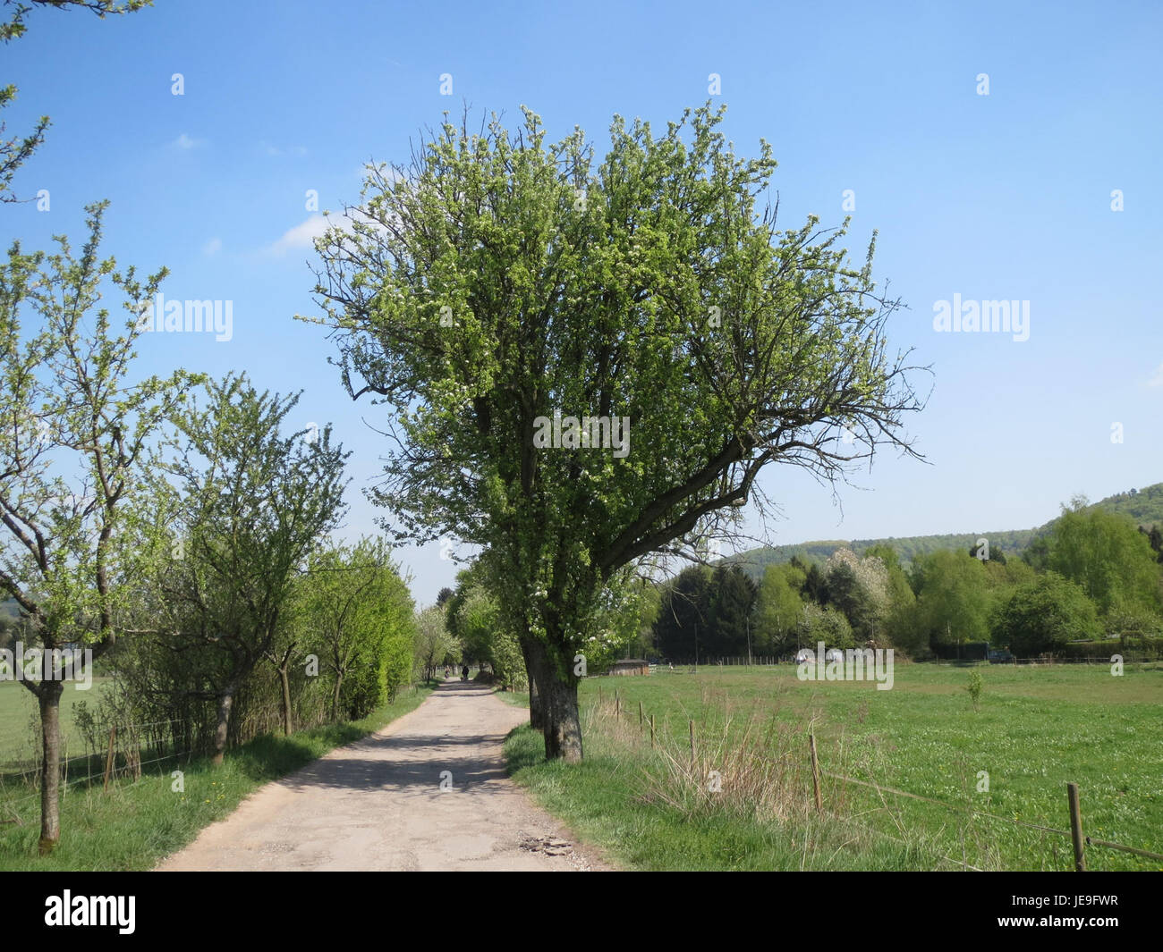 Almet hi-res stock photography and images - Alamy