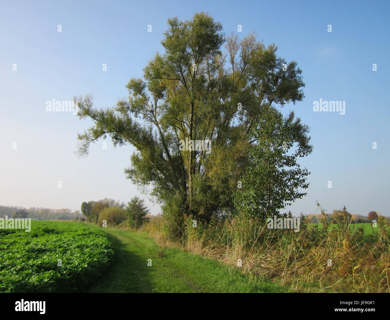 A photograph of the Hockenheimer Rheinbogen, taken on October 23, 2012 ...