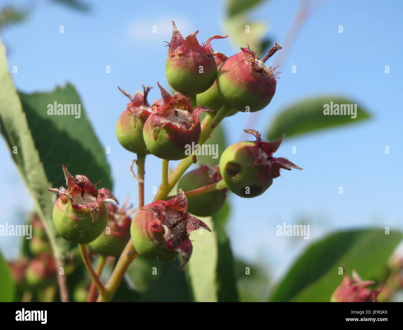 This photograph captures a view of Reilingen, Germany, showcasing its ...