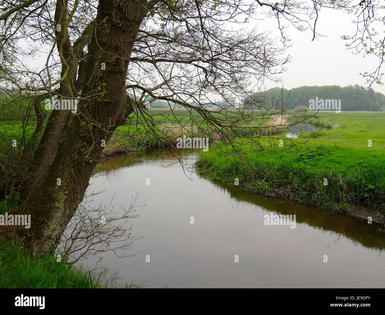 Drentsche hi-res stock photography and images - Alamy