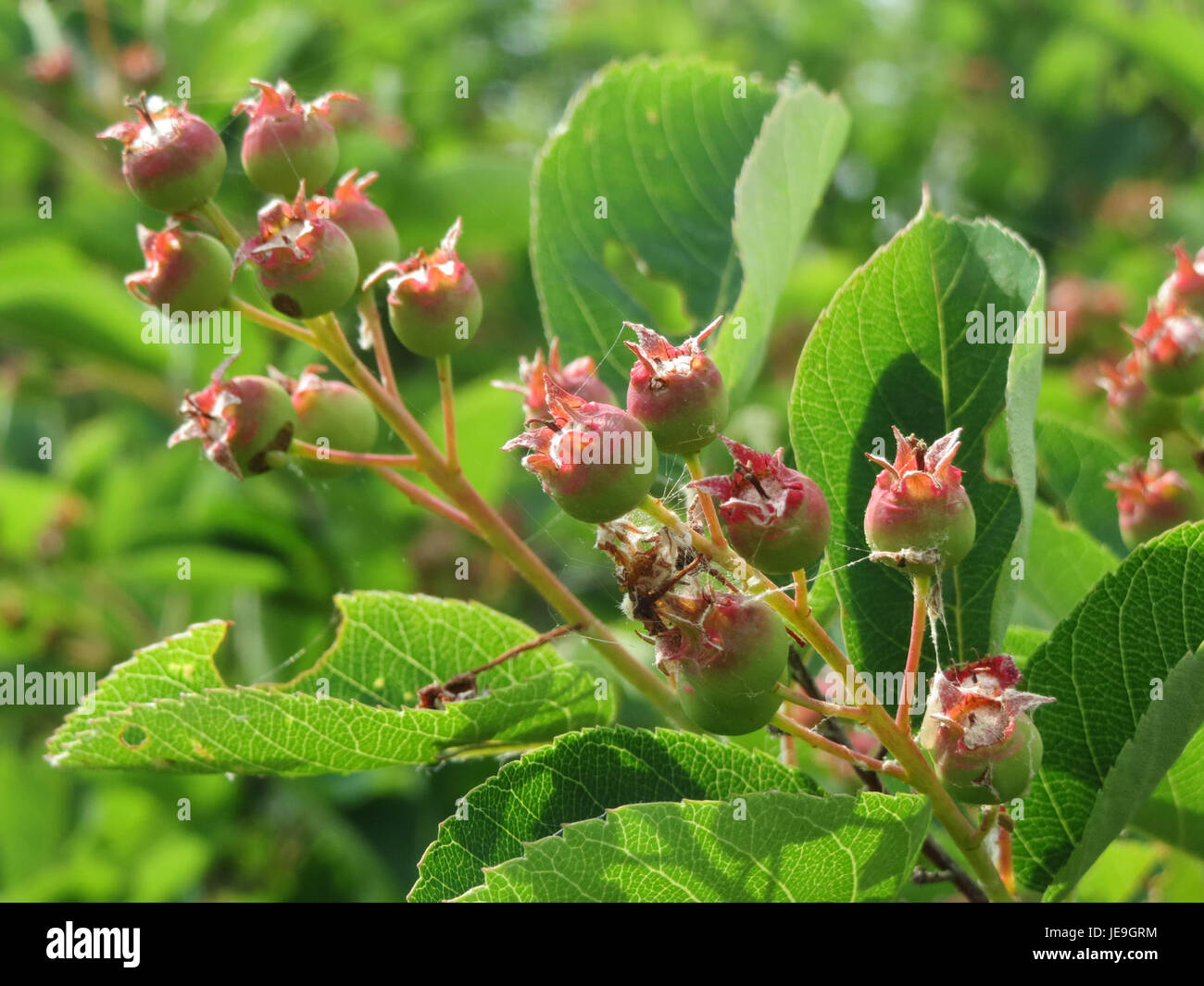 This image features the town of Reilingen, Germany, showcasing its ...