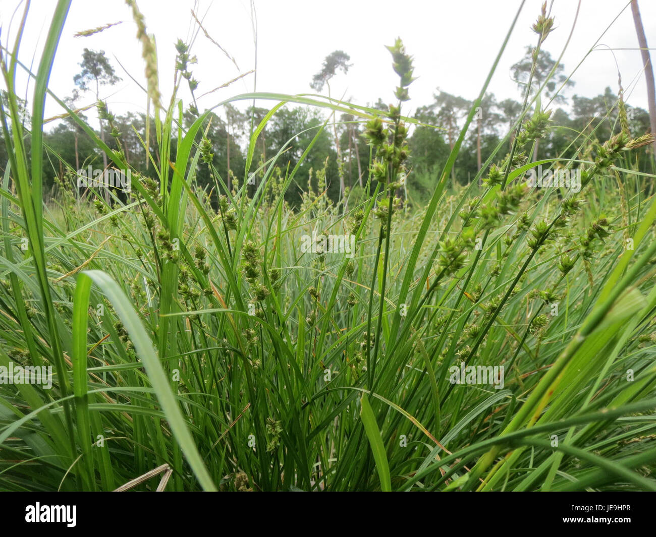 Most common soil hi-res stock photography and images - Alamy