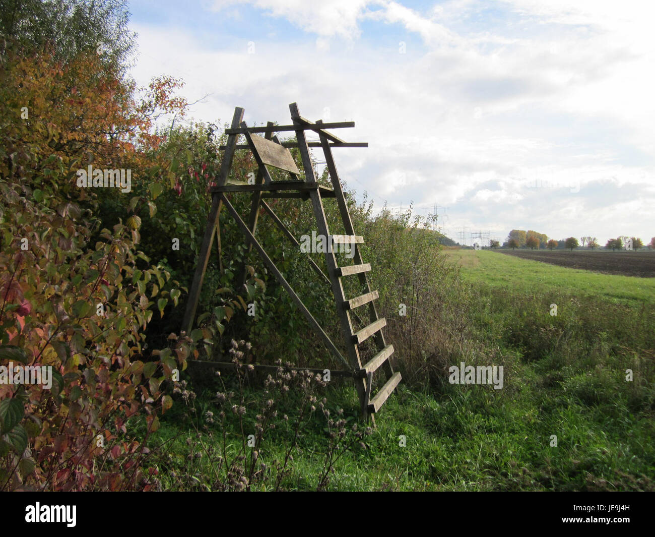 The Hockenheimer Rheinbogen is a scenic area along the Rhine River in ...