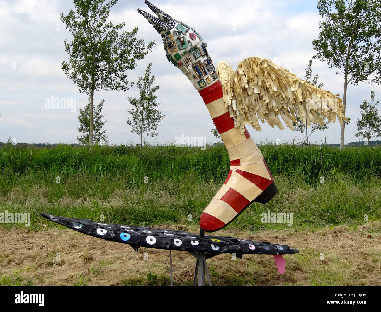 Dynamic soaring sea bird hi-res stock photography and images - Alamy