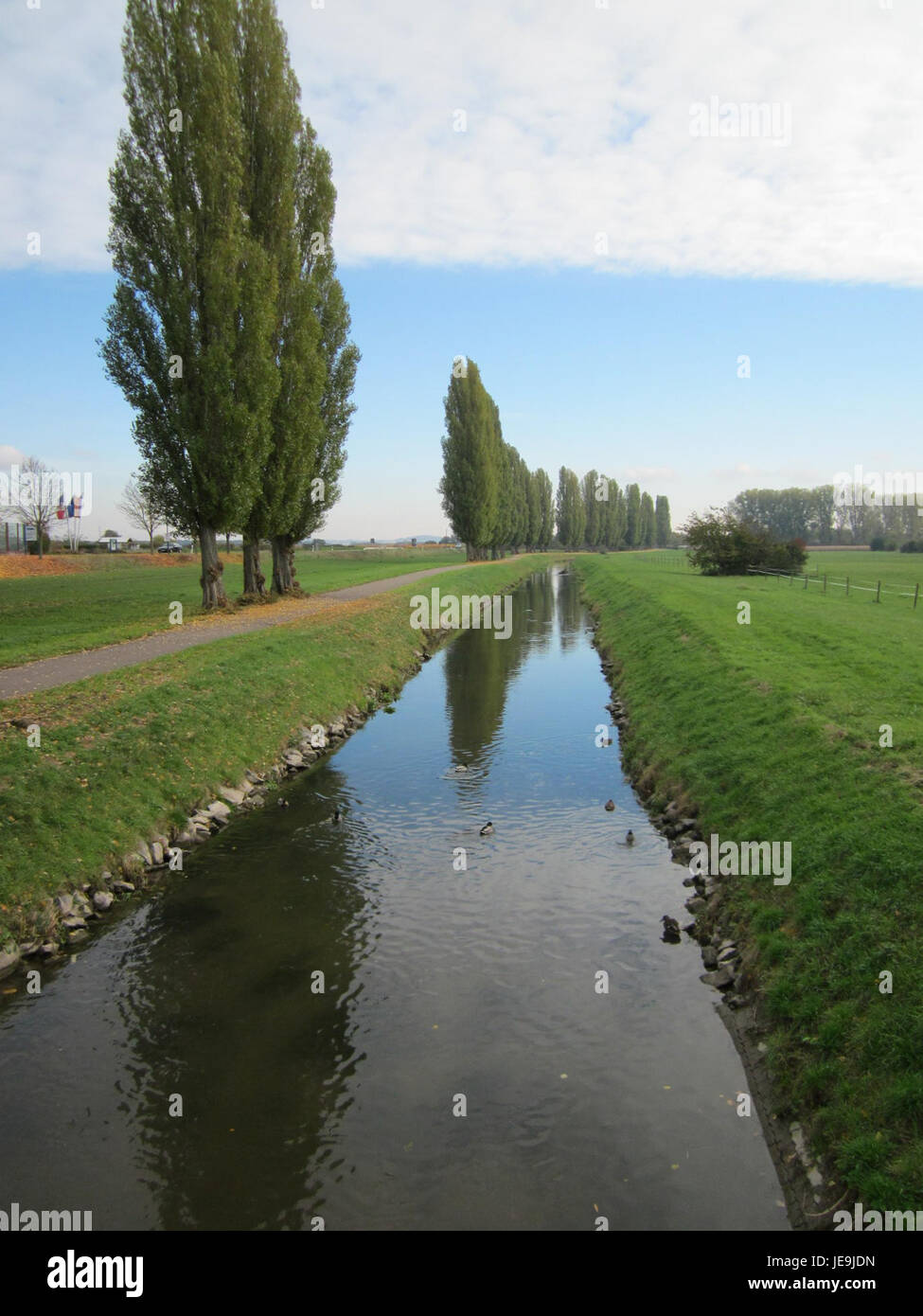 A photograph of poplar trees (Pappeln) along the Kraichbach river in ...