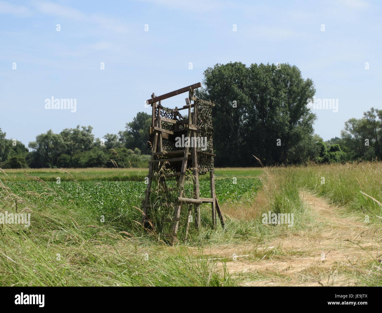 Schwetzinger Wiesen, a natural area located near Schwetzingen, Germany ...