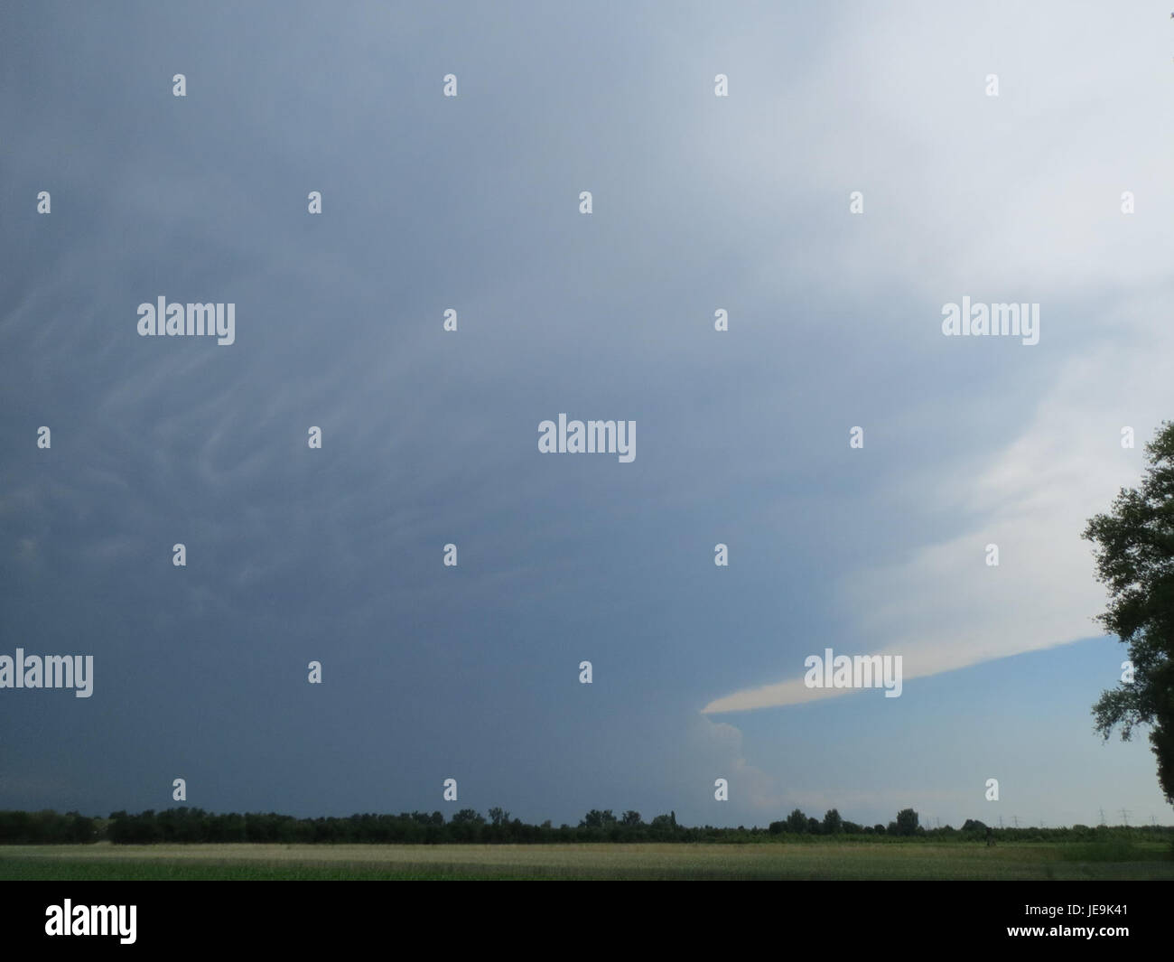 This image shows the aftermath of a severe storm (unwetter) in ...
