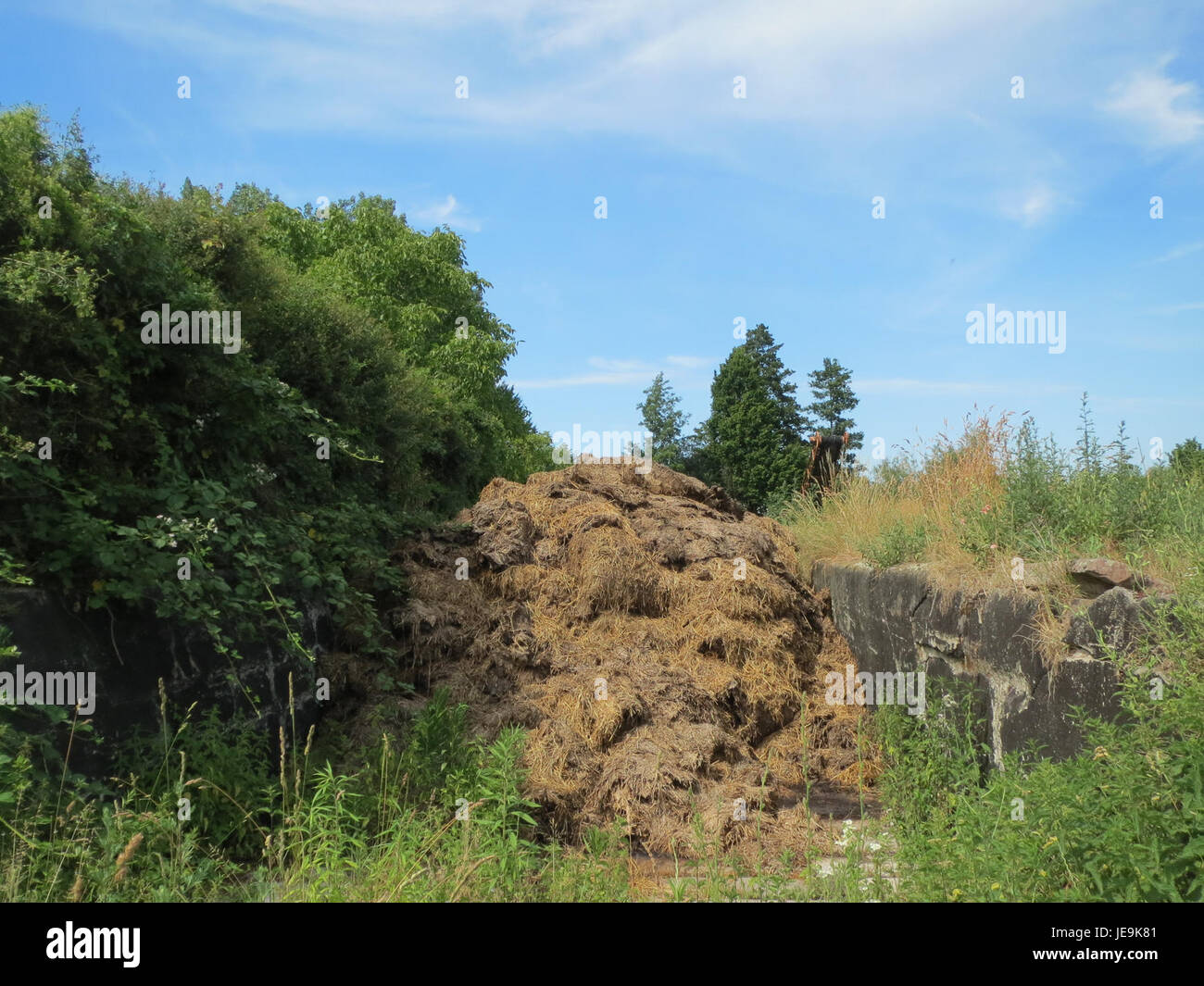 Misthaufen, or manure heap, is a common agricultural feature used for ...