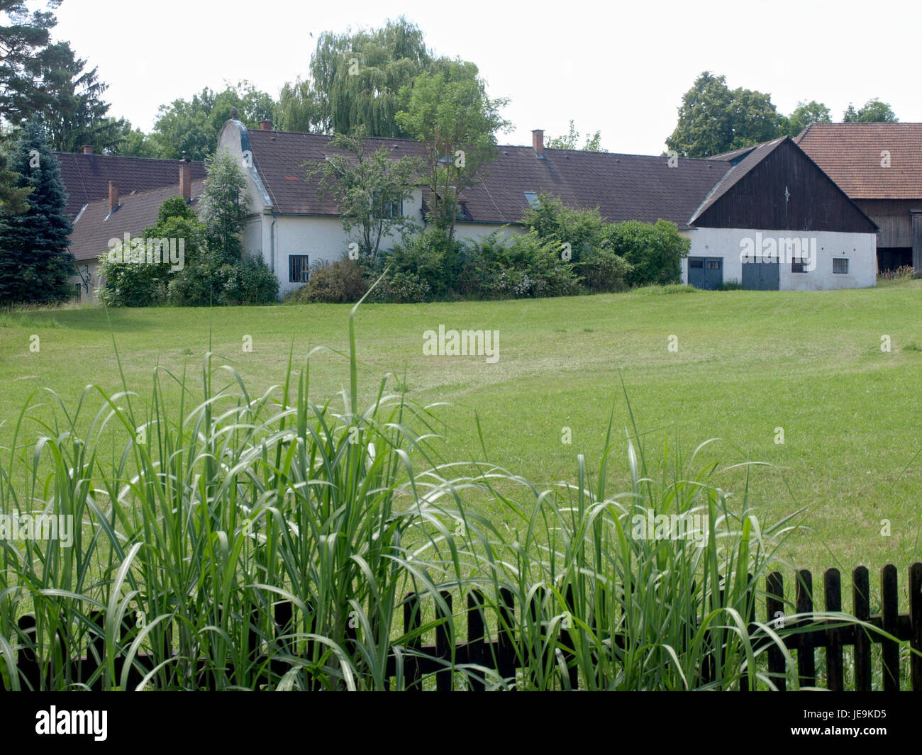 A historical photo of the former farmyard of Schloss Zwerbach, located ...