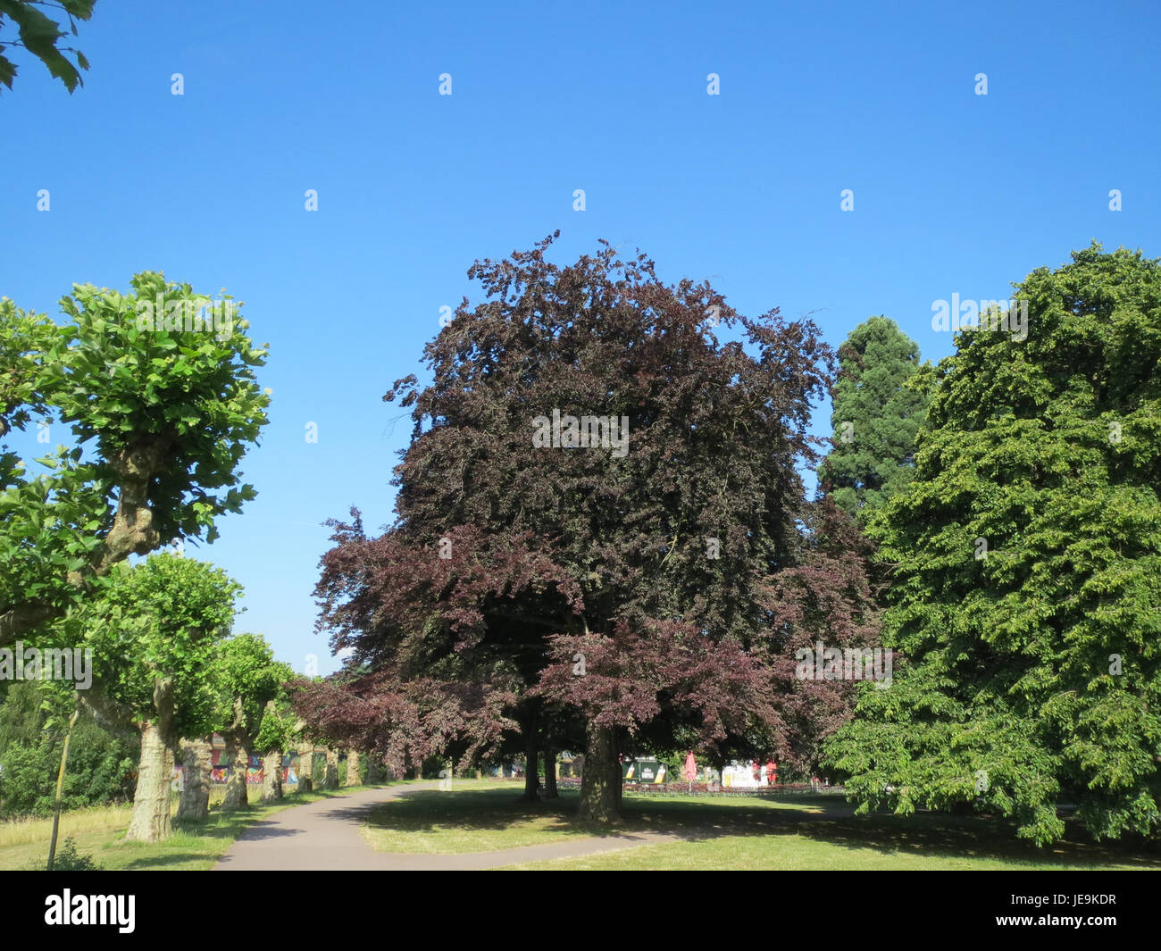 Photograph from saarbrücken in hi-res stock photography and images - Alamy