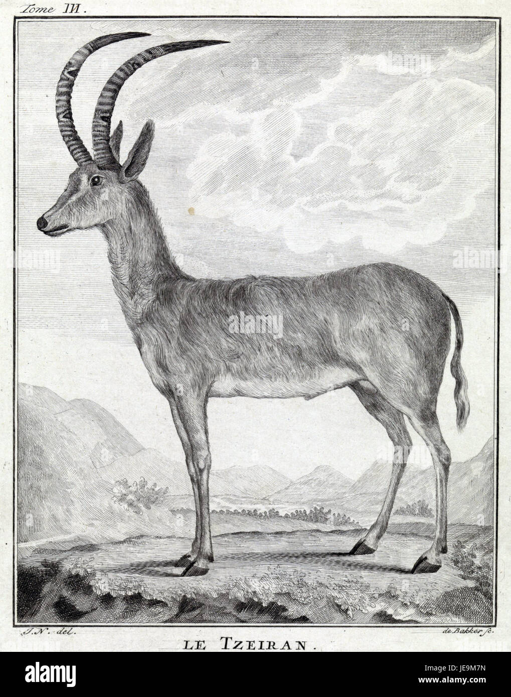 A stylized representation of an antelope, symbolizing the beauty and ...