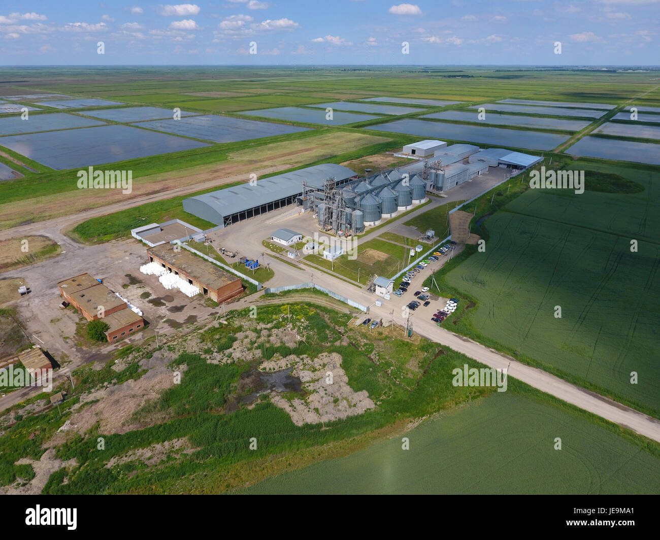 Grain terminal. Plant for the drying and storage of grain. Rice plant ...