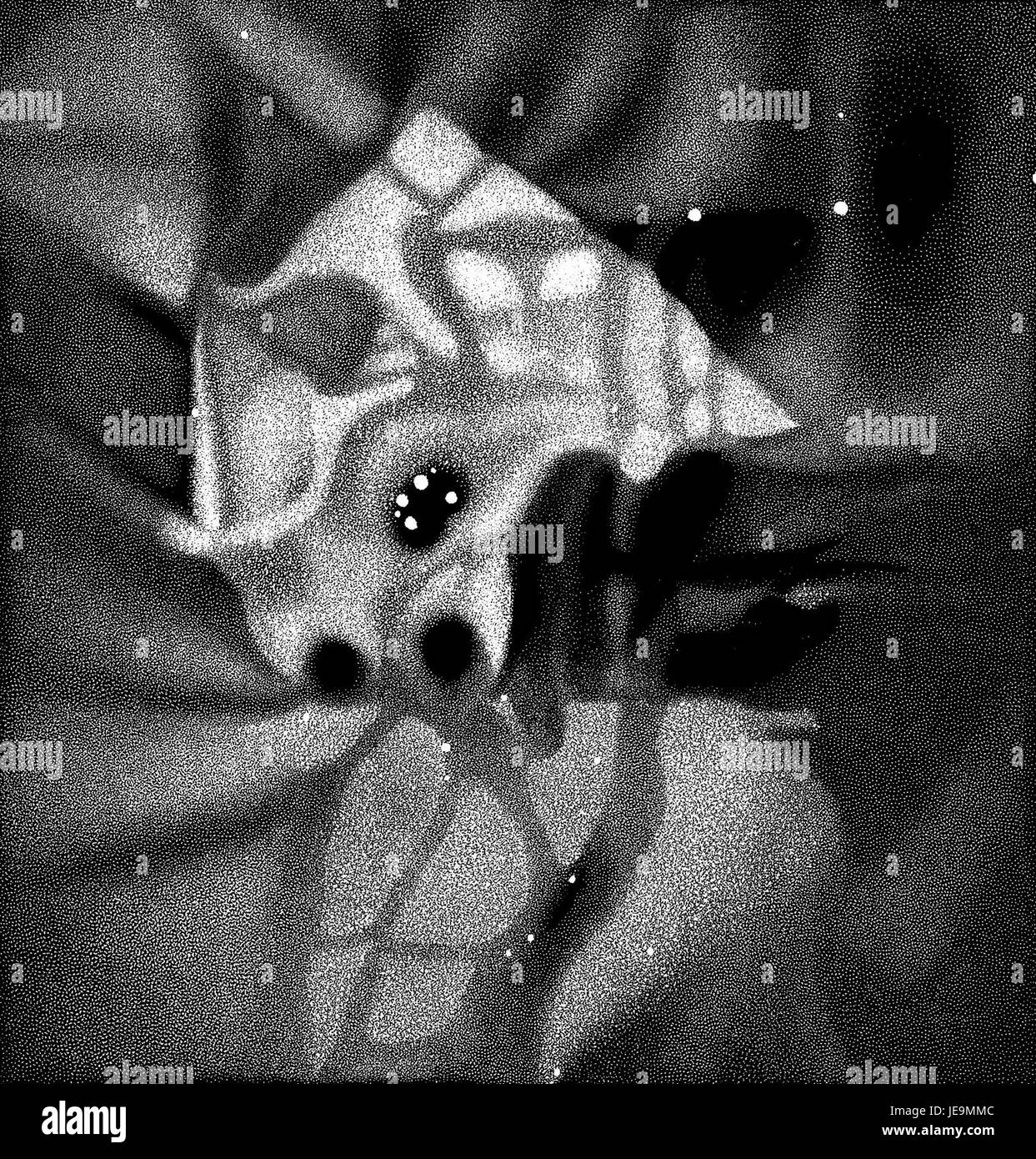 Negative 1868 Black and White Stock Photos & Images - Alamy