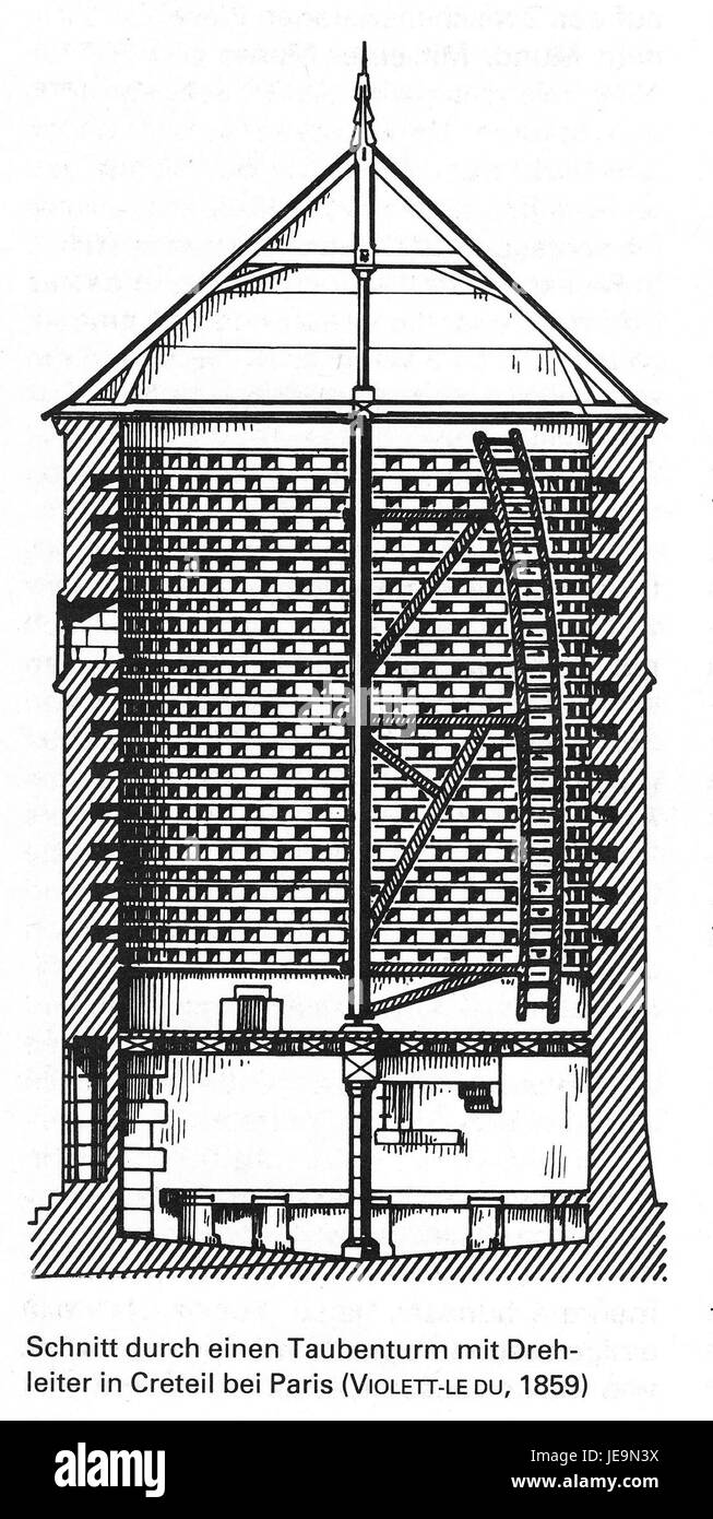 Die taube hi-res stock photography and images - Alamy