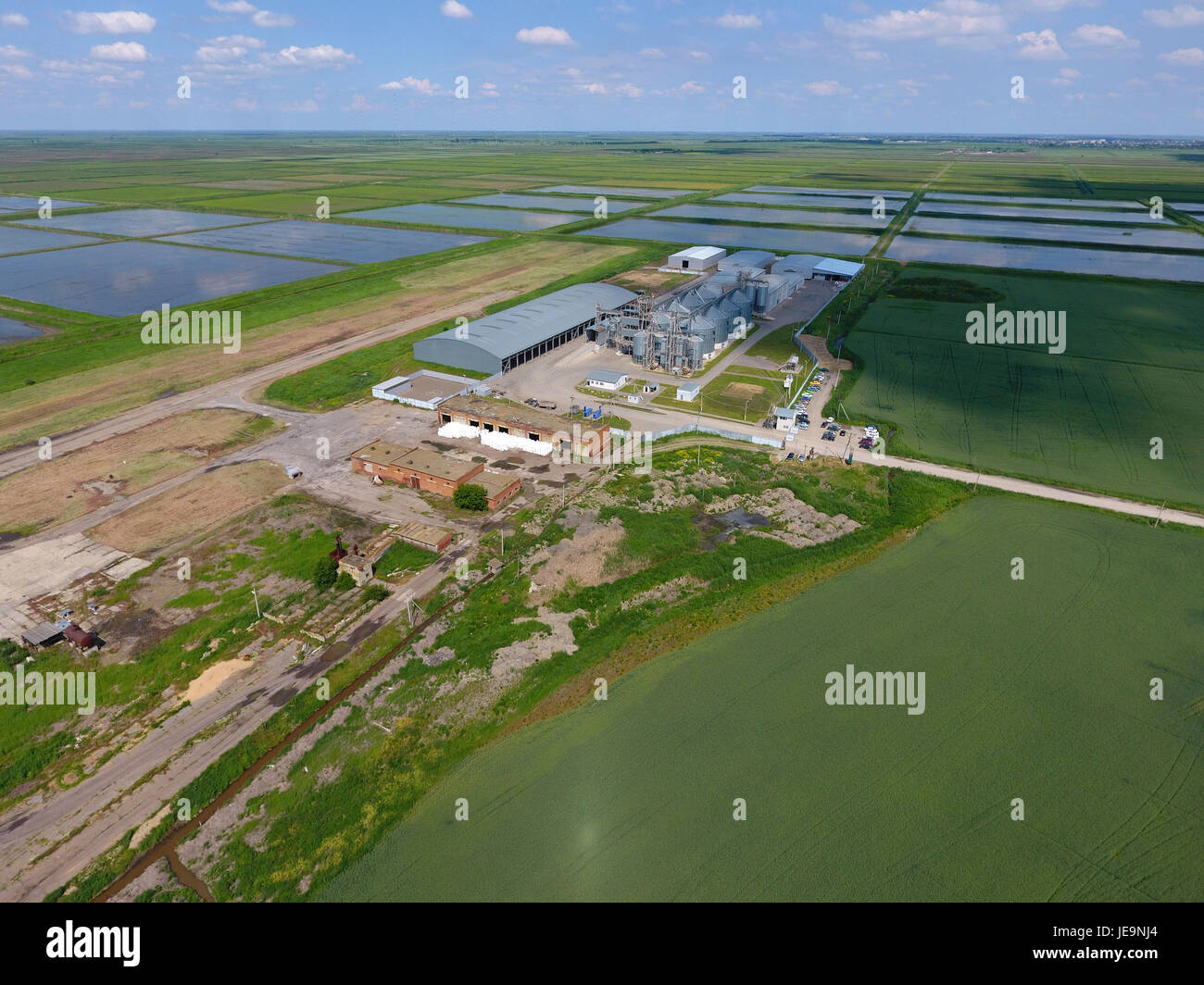 Grain terminal. Plant for the drying and storage of grain. Rice plant ...