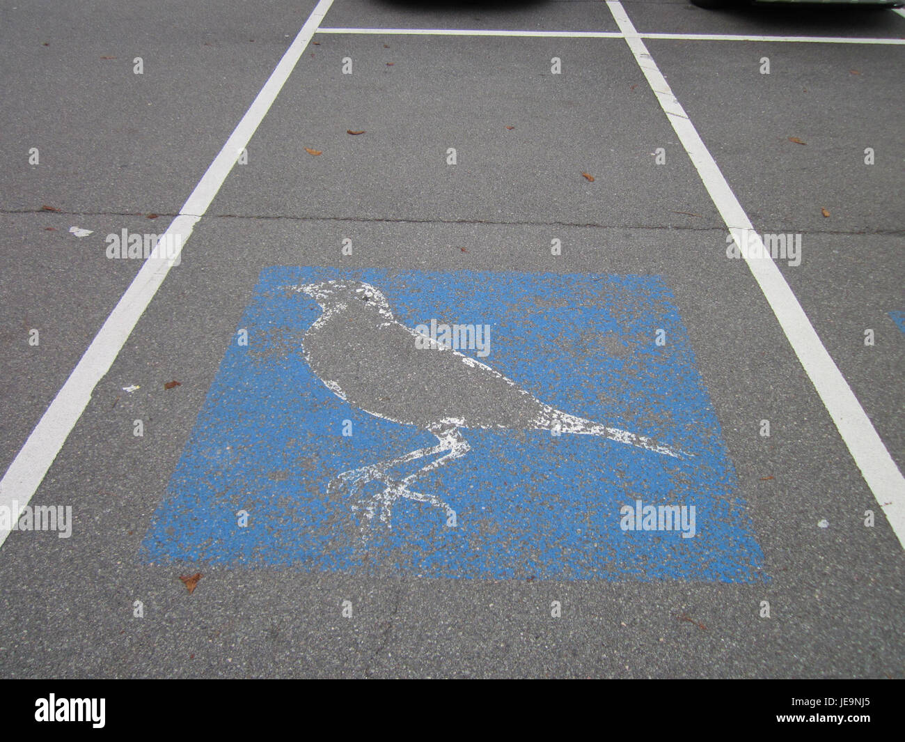 This image shows a parking lot in Schwetzingen, Germany, showcasing the ...