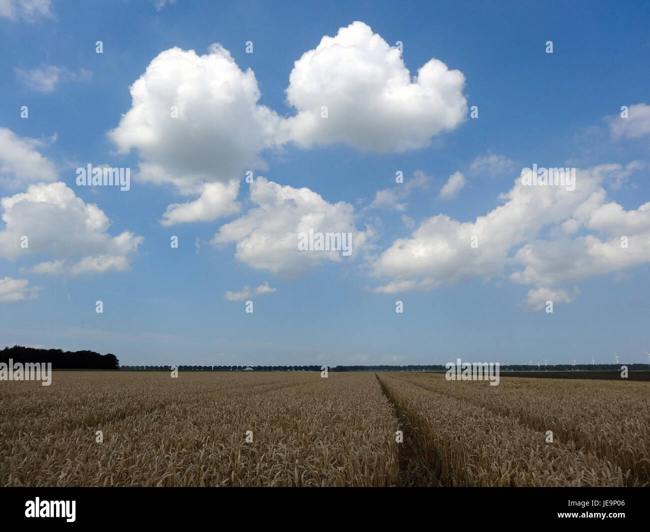 A landscape photograph of Zuidelijk Flevoland, Netherlands, captured on ...