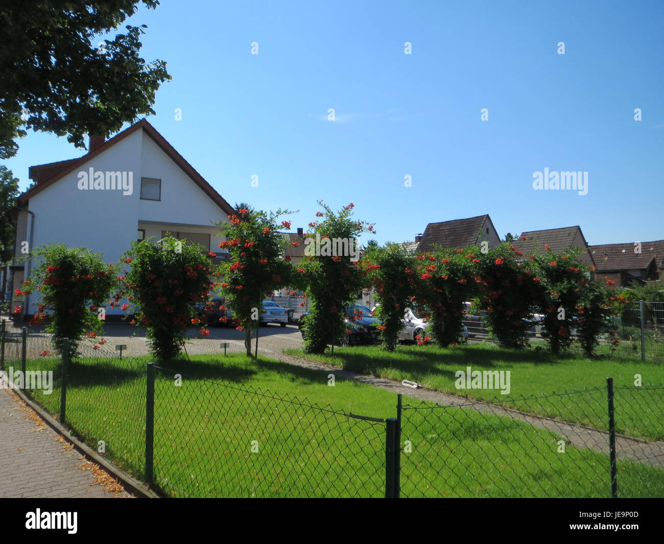 This photo captures the scenic landscape of Hockenheim, Germany ...