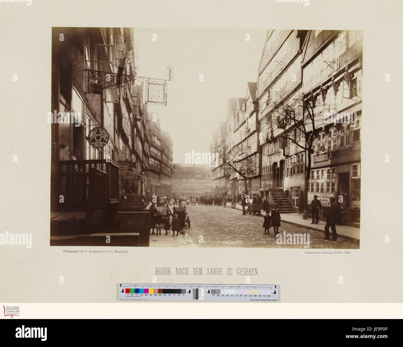 This image depicts a brook seen after the sands, showcasing a natural ...