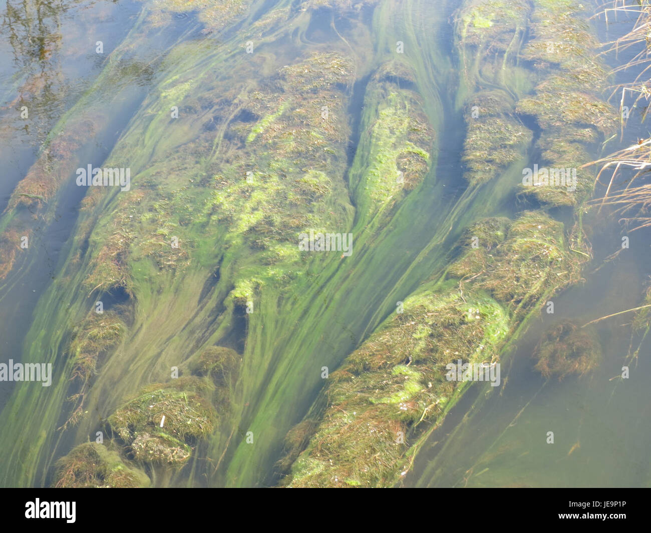 Kraichbach is a river in southwestern Germany, flowing through the ...