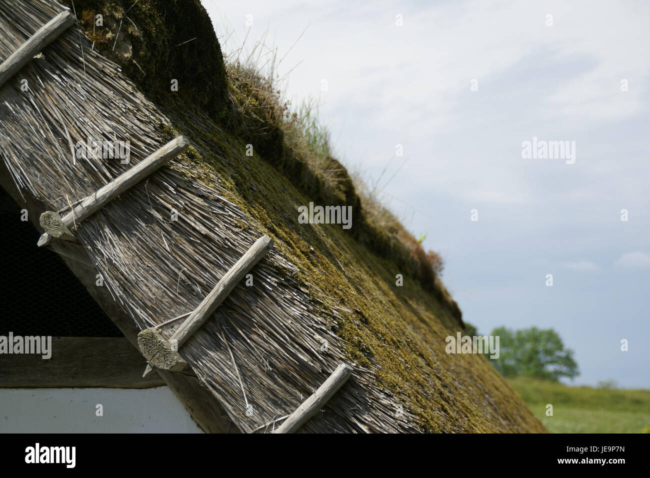 A photograph taken on July 20, 2014, showing the roof of the ...