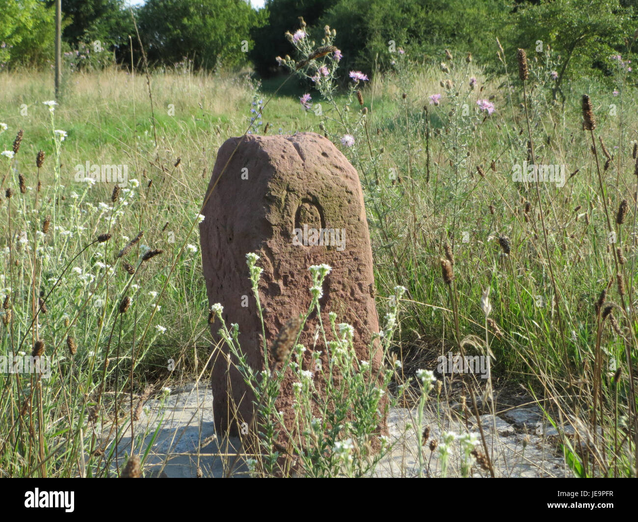 The image shows a boundary stone (Grenzstein) in Germany, photographed ...