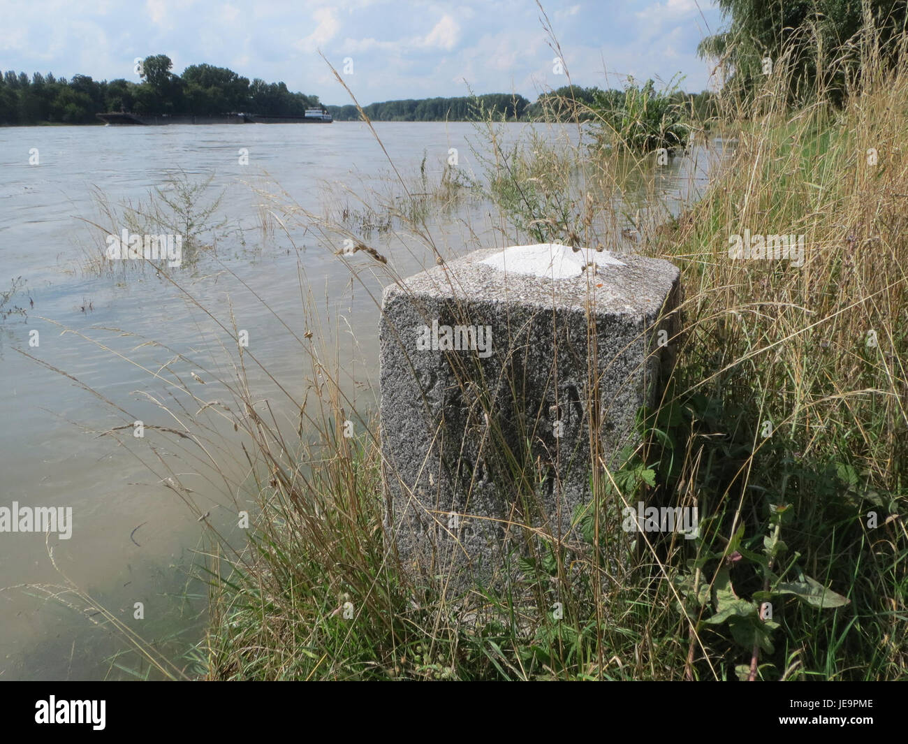This photograph shows the effects of flooding in Altlussheim ...