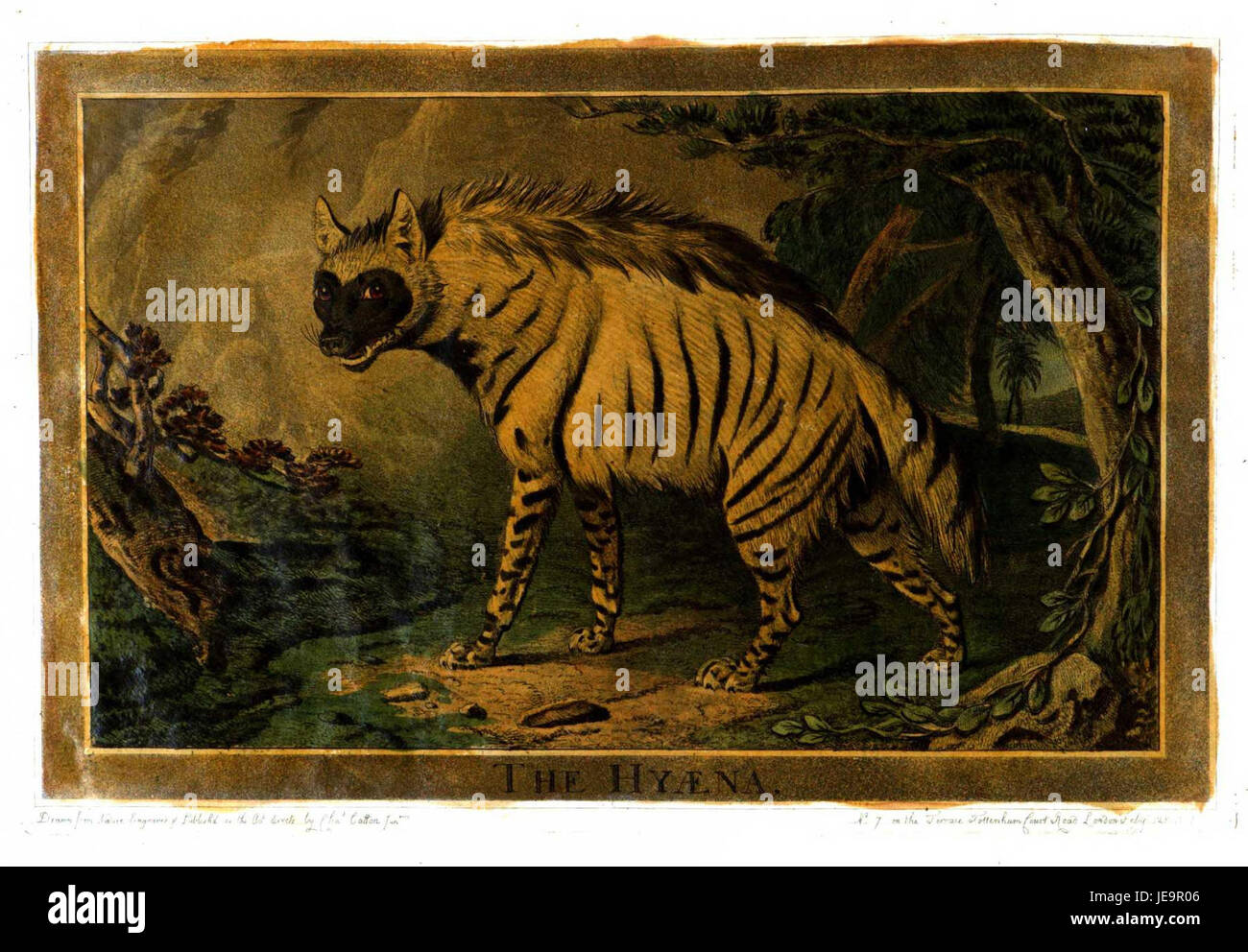 Charles catton hi-res stock photography and images - Alamy