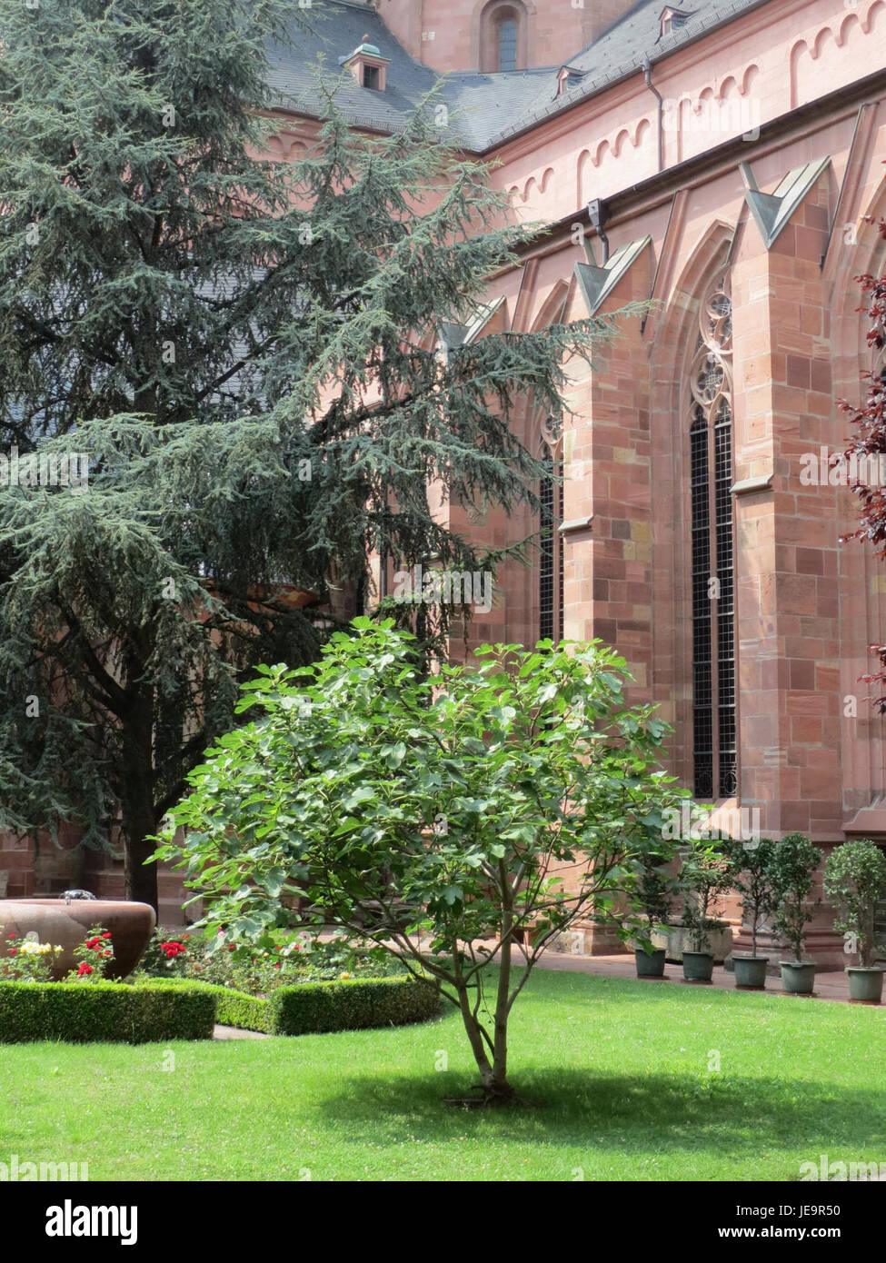 The Mainzer Dom (Mainz Cathedral) is a Romanesque church located in ...