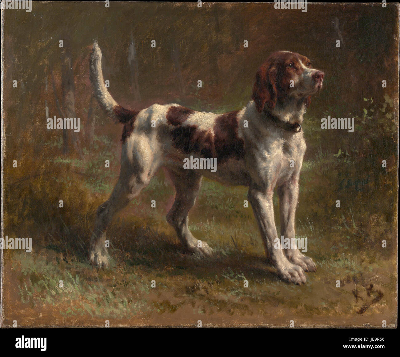 Rosa Bonheur's painting 'A Limier Briquet Hound' captures a realistic ...