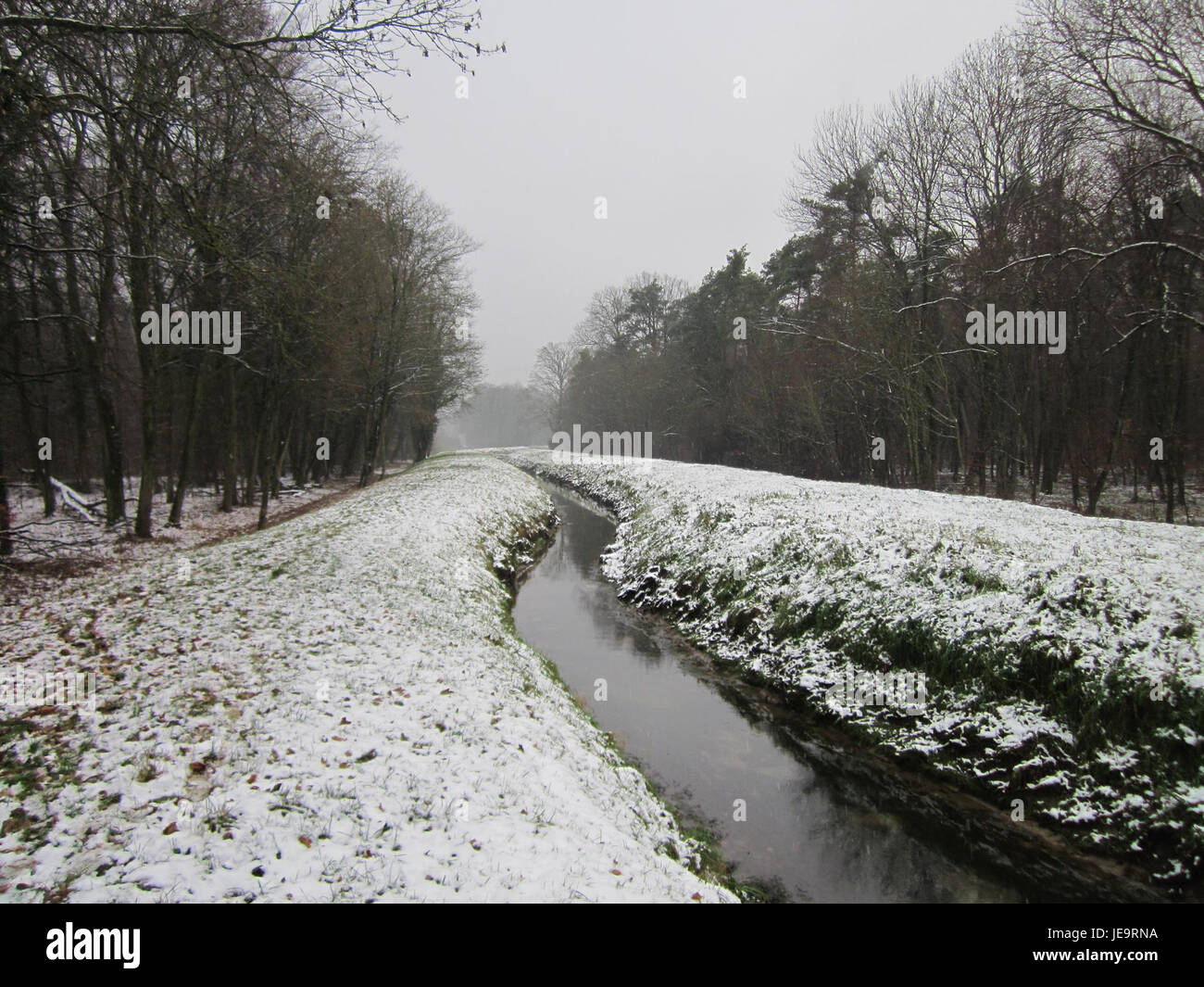 The Schwetzinger Hardt is a forested area near Schwetzingen, Germany ...