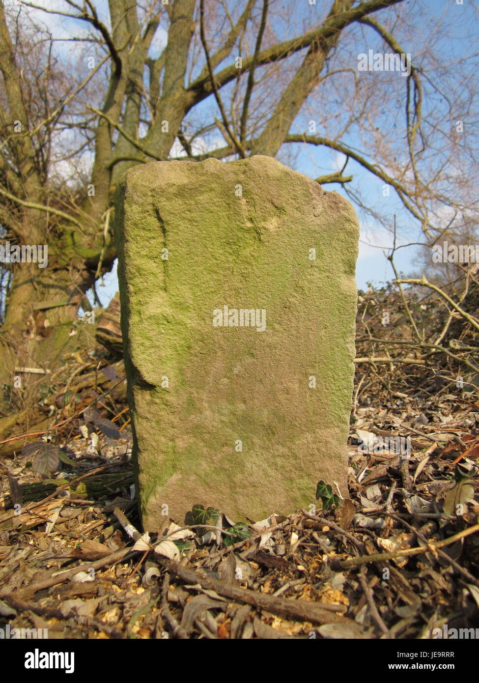 'Kisselwiesen' in Reilingen, Germany, is a scenic area known for its ...