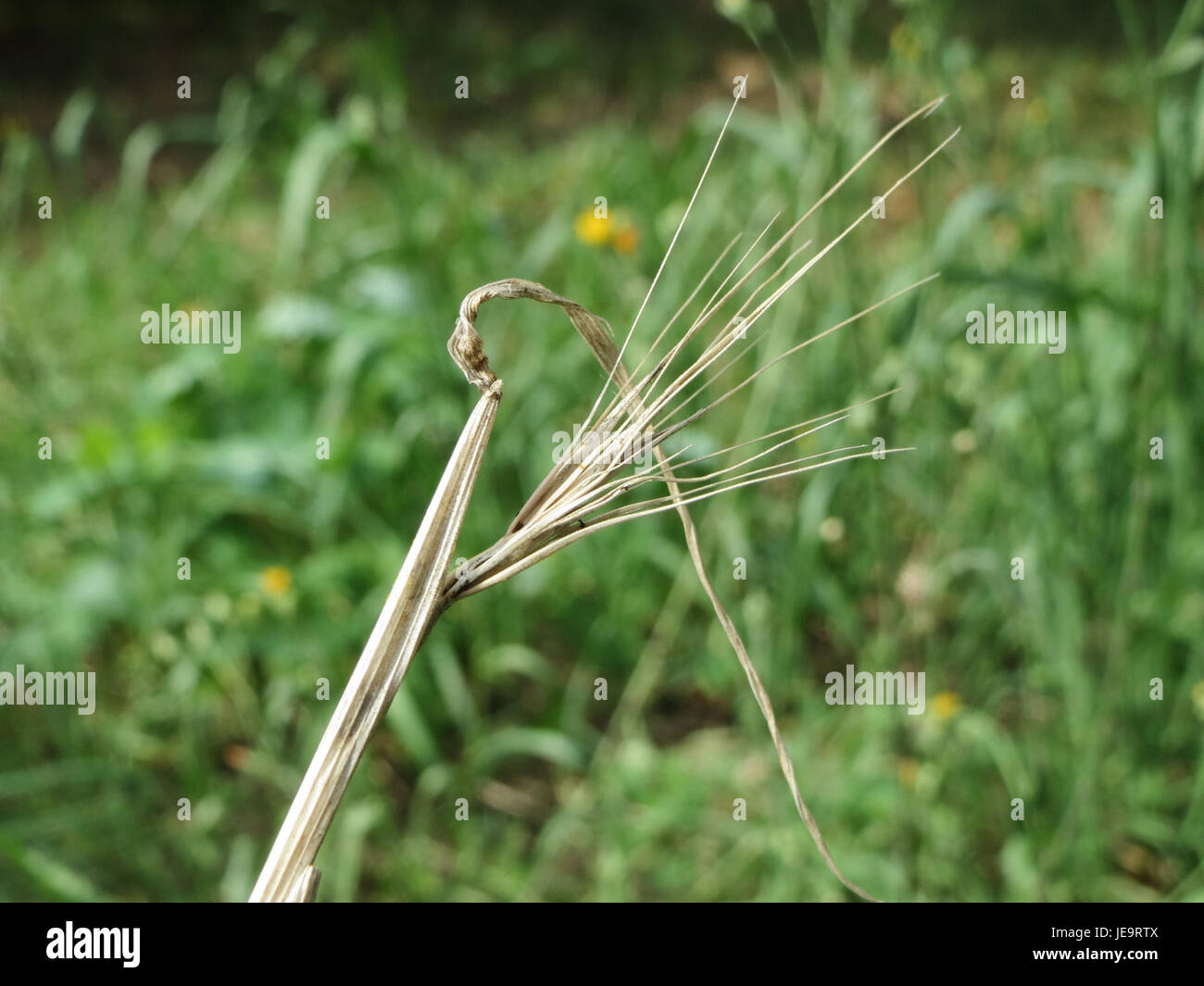 Temperate climate zones hi-res stock photography and images - Alamy