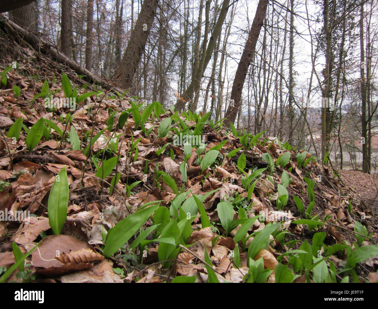 A photograph taken on March 31, 2013, showing the scenic Felsenwege ...
