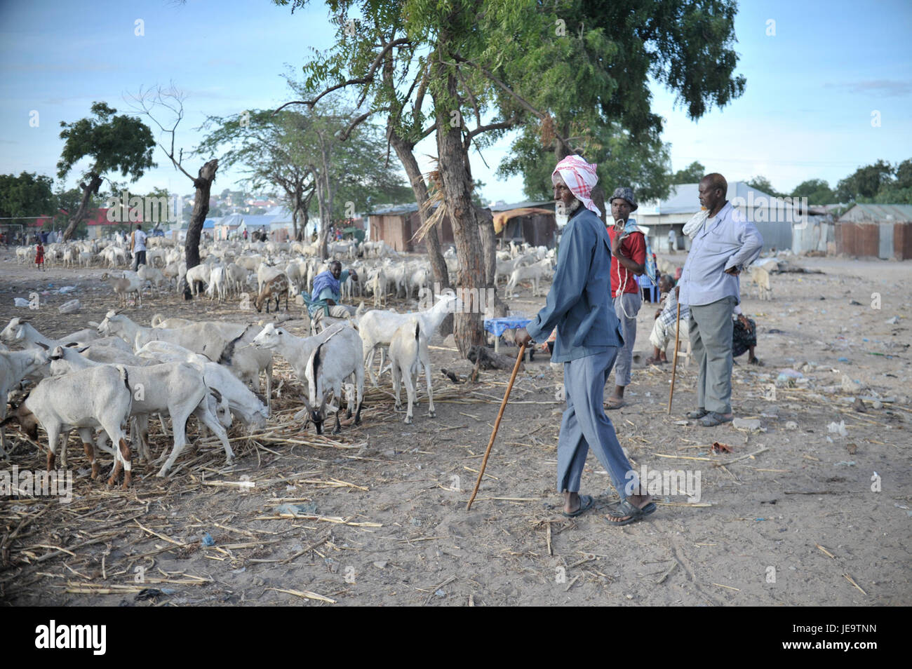 Mogadishu economy hi-res stock photography and images - Alamy