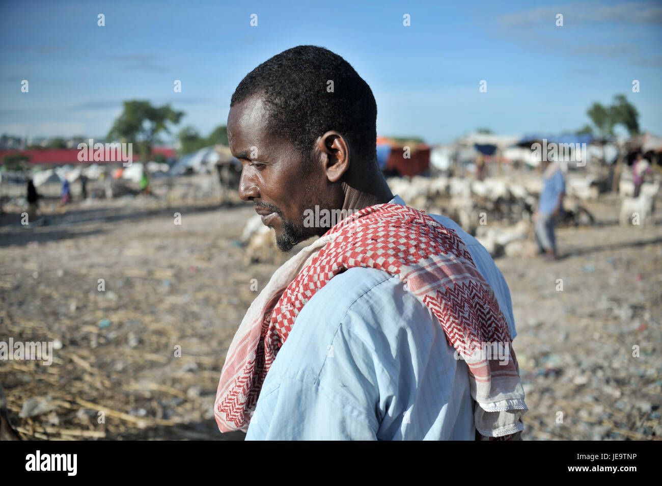 This image from April 14, 2013, captures a scene from the Bakara Animal ...