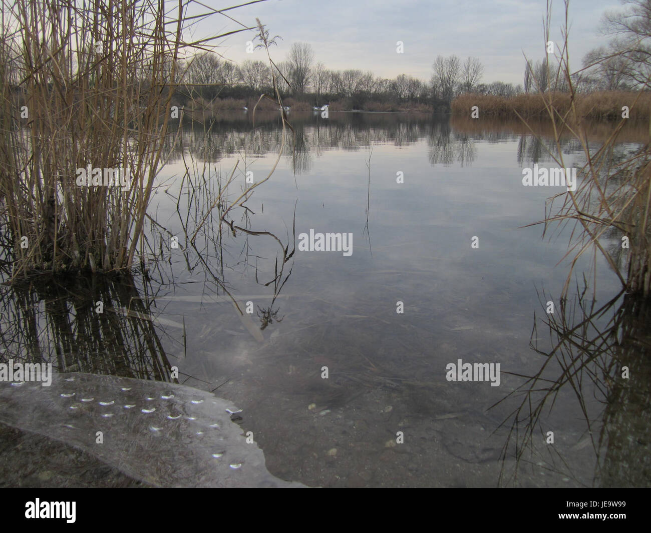This image depicts Reilinger See, a lake located in the town of ...