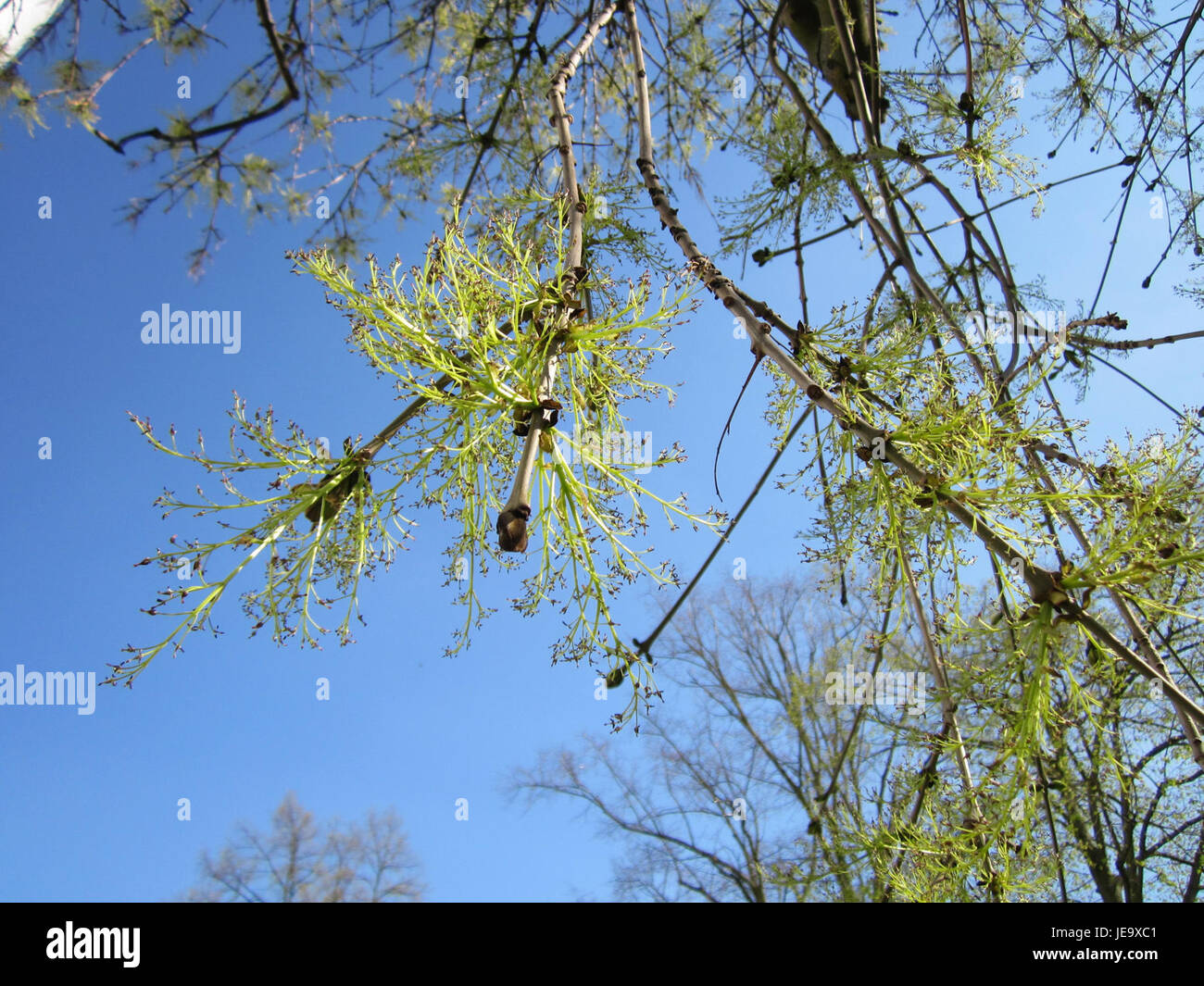 This image shows the Esche Water Tower in Hockenheim, Germany, which ...