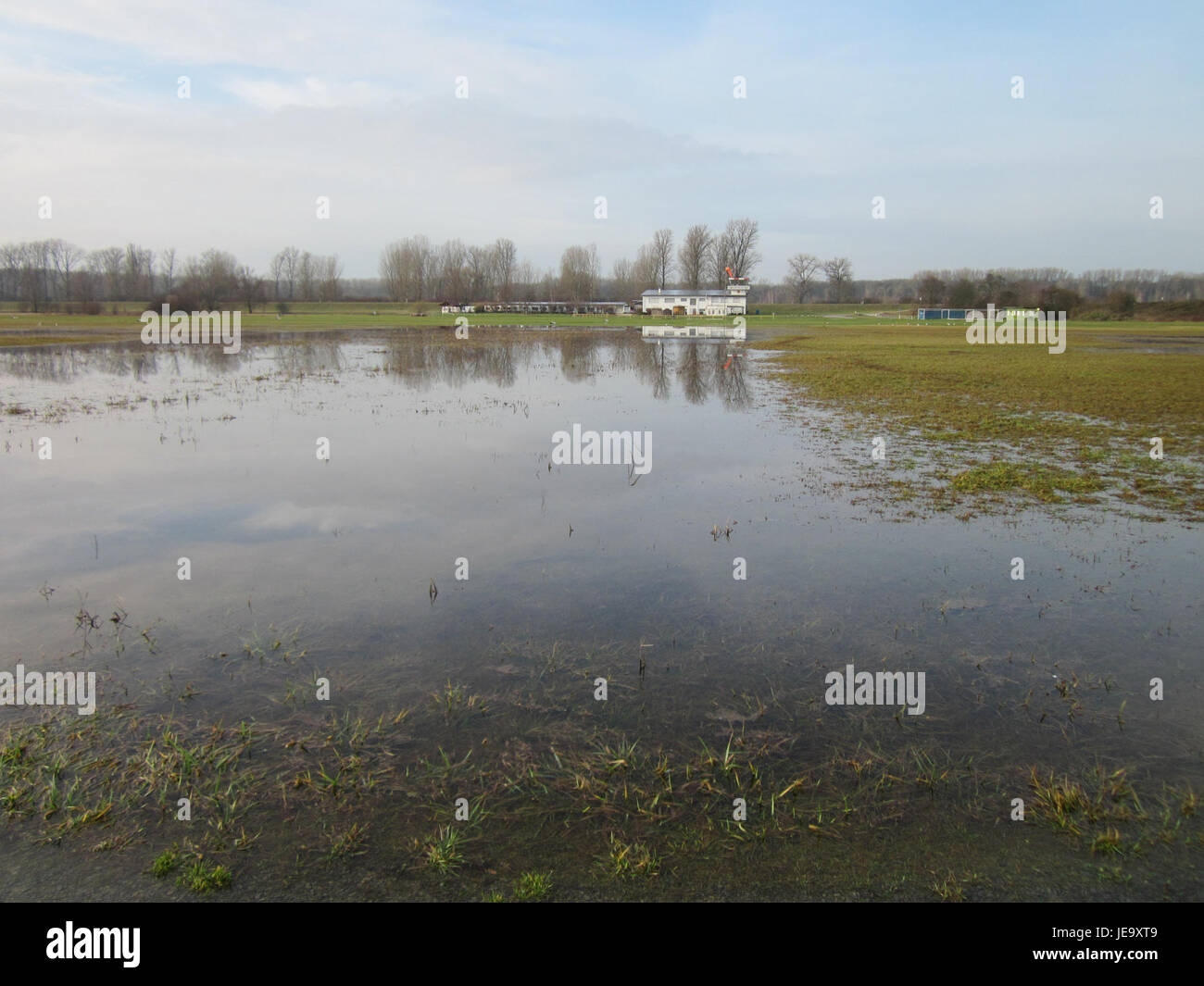 Wetlands plants in a pond hi-res stock photography and images - Alamy