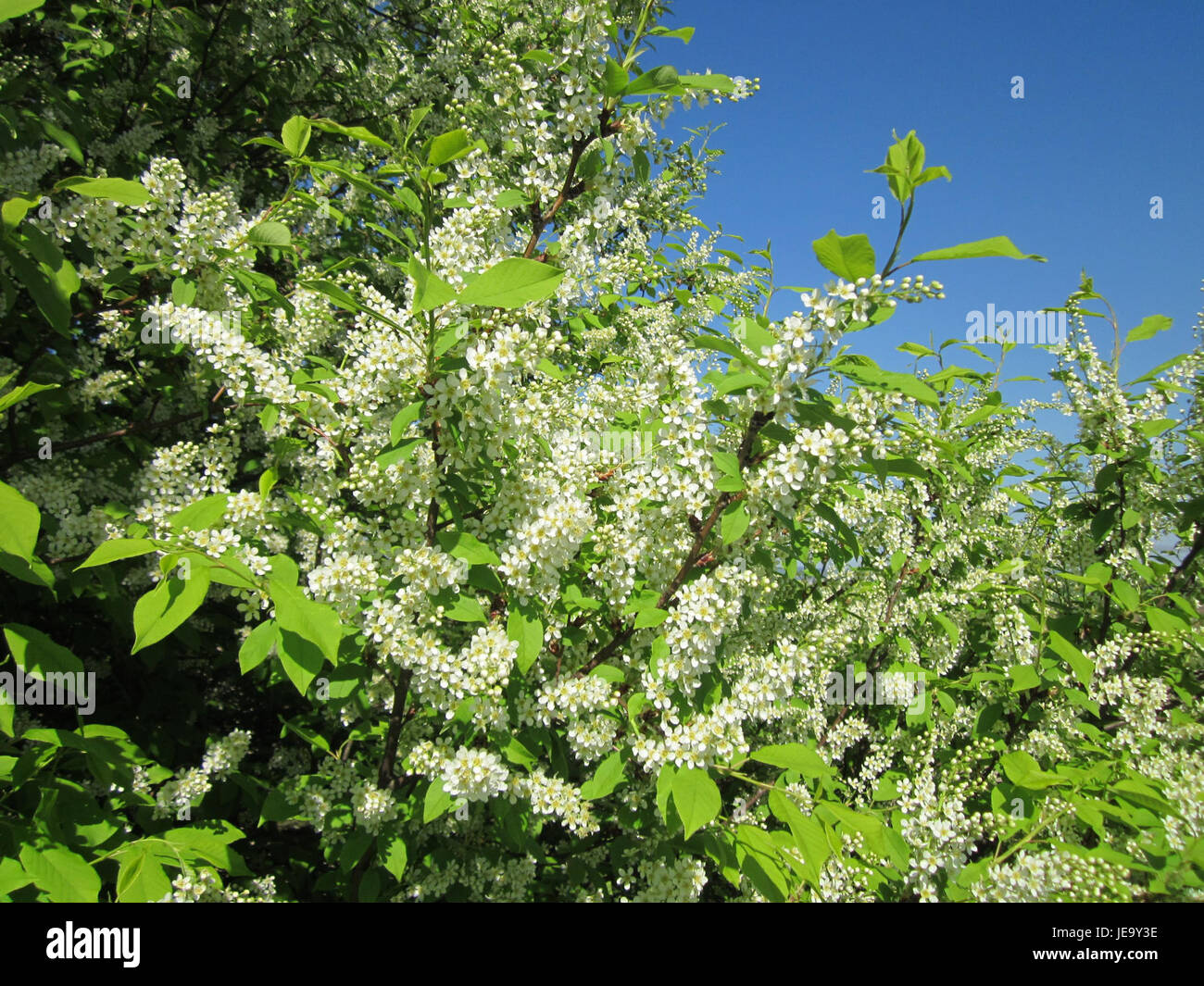 A landscape photograph taken on April 25, 2013, of the Hockenheimer ...