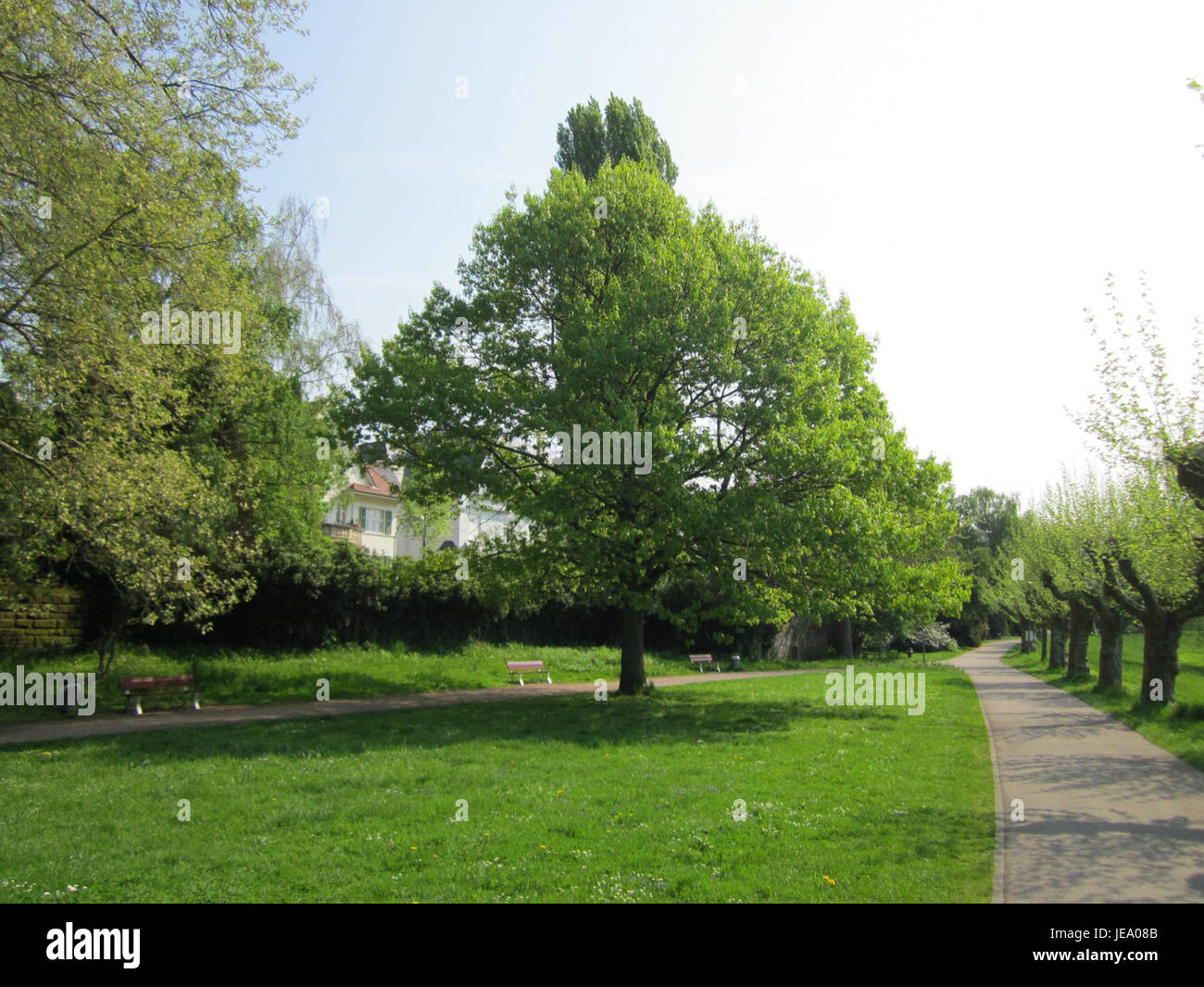 North american broad leaf forest hi-res stock photography and images ...