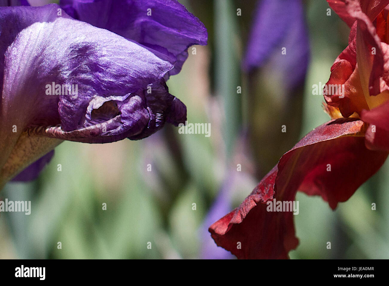 This image shows 'The Reach,' a title likely referring to a visual ...