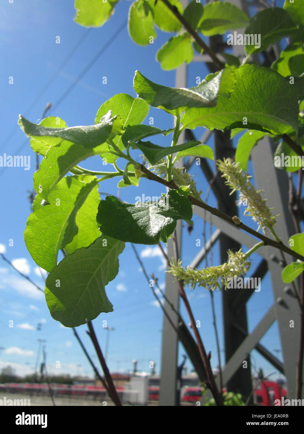 May 18 2013 hi-res stock photography and images - Alamy