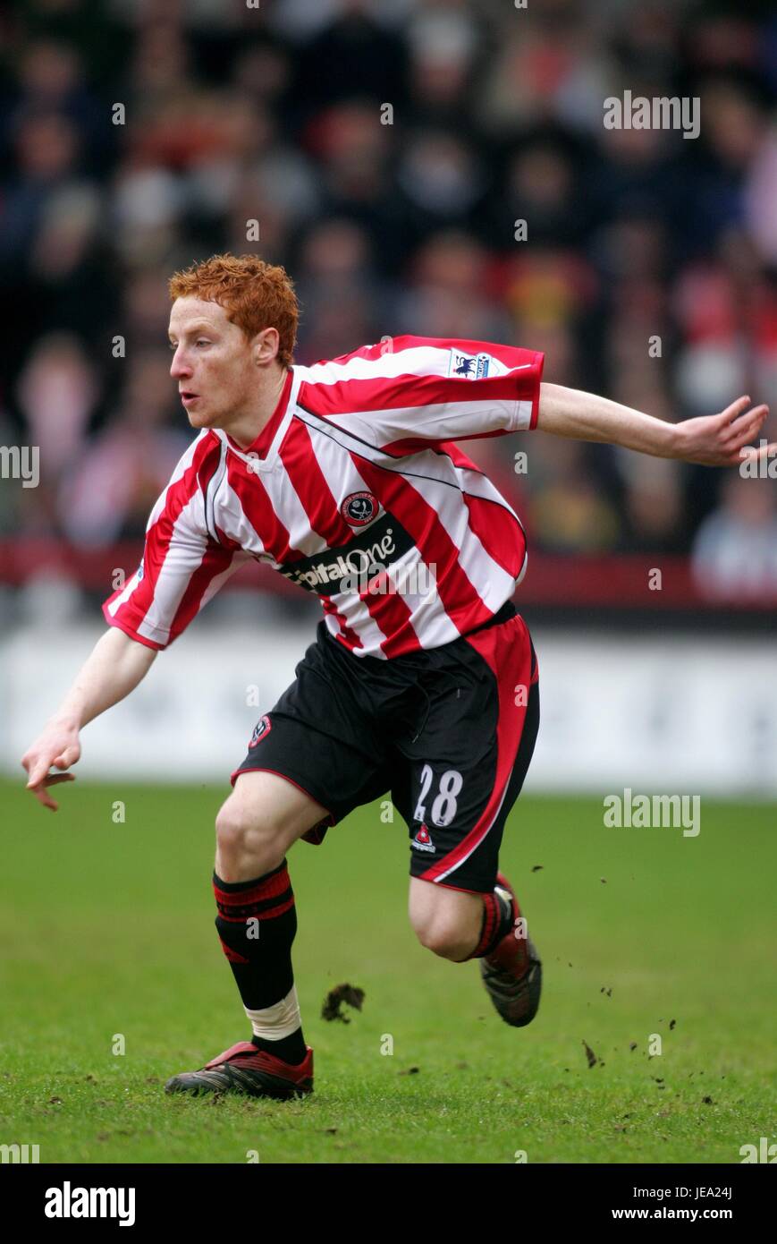 STEPHEN QUINN SHEFFIELD UNITED FC BRAMALL LANE SHEFFIELD ENGLAND 10 ...