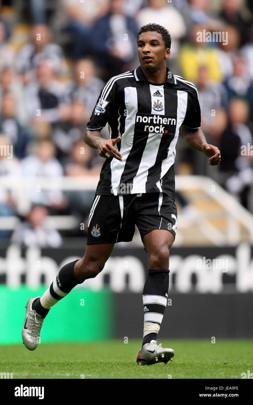 Runninghabib hi-res stock photography and images - Alamy