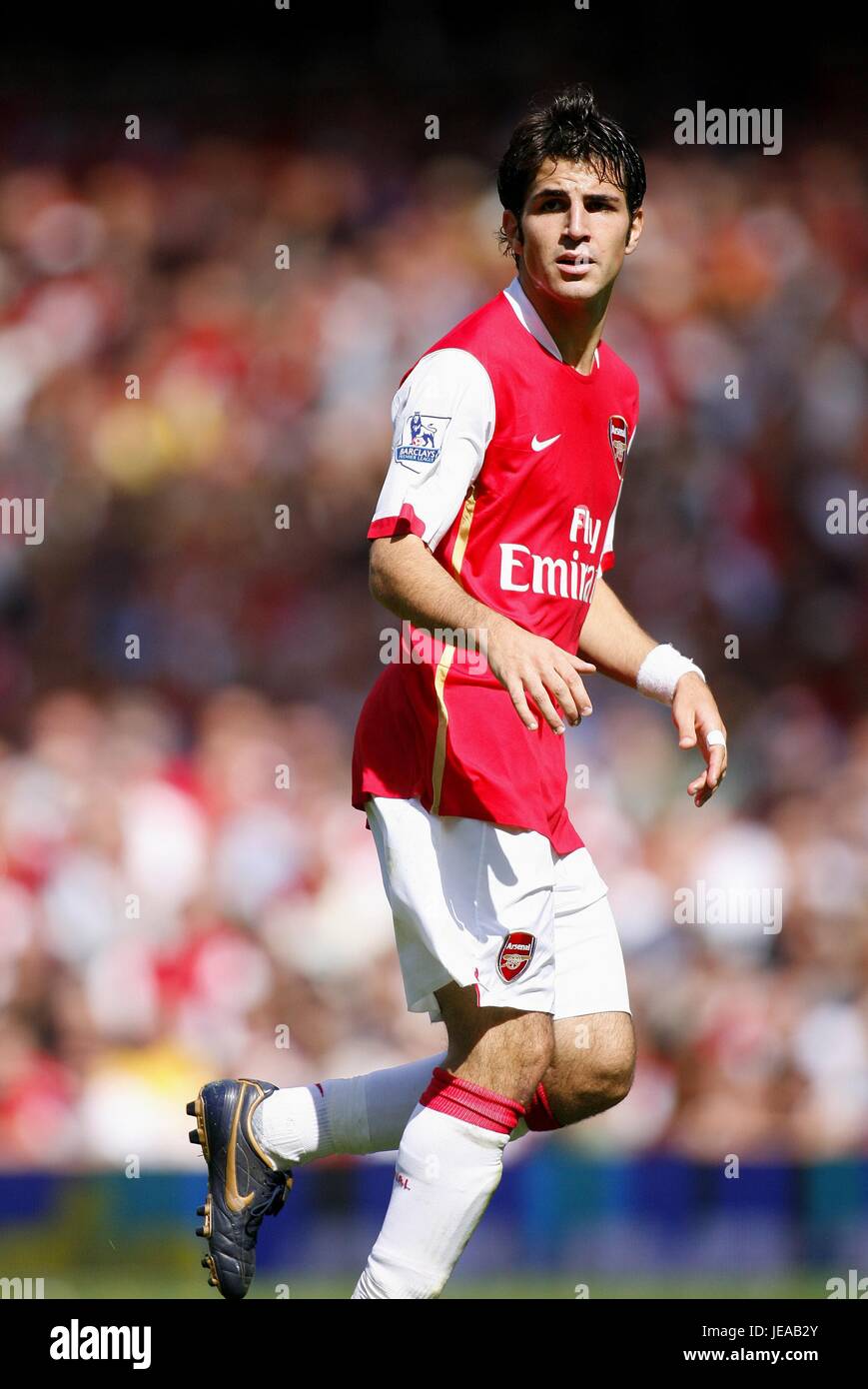 CESC FABREGAS ARSENAL FC EMIRATES STADIUM ARSENAL LONDON ENGLAND 02 ... CESC FABREGAS ARSENAL FC EMIRATES STADIUM ARSENAL LONDON ENGLAND 02 ...