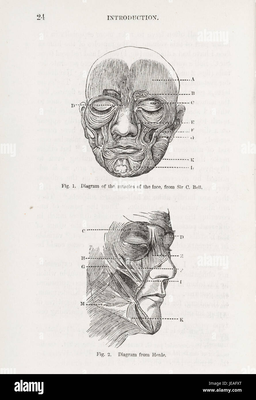 This diagram from Charles Darwin's study 'The Expression of the ...