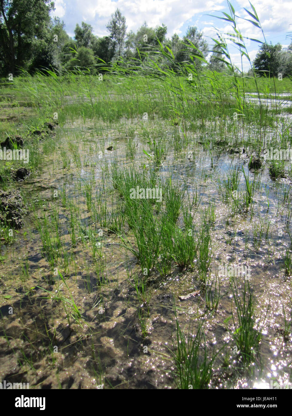 The Rückhaltebecken (retention basin) in Wagbach, Germany, is an ...